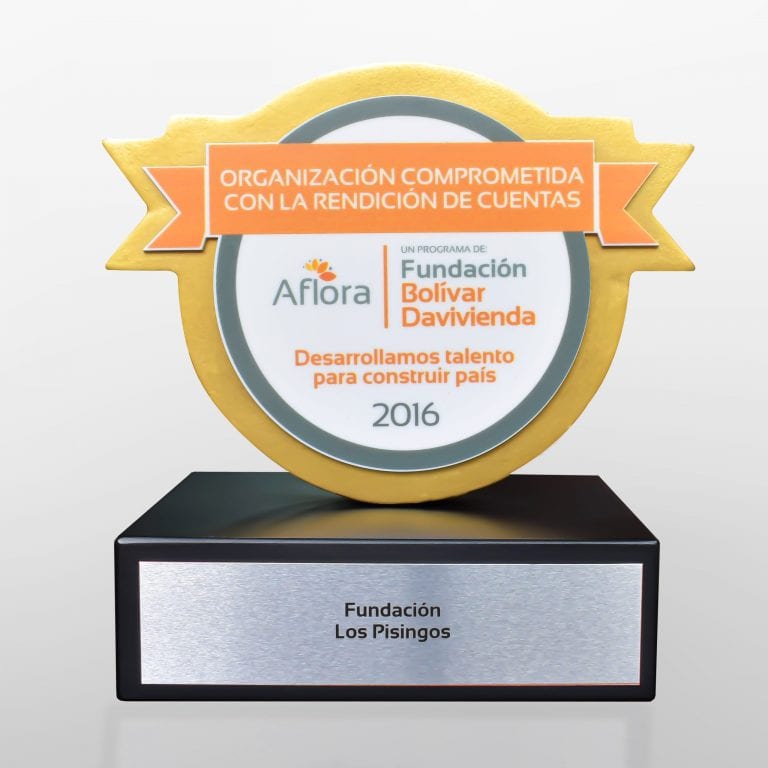 lospisingos – Fundación Los Pisingos