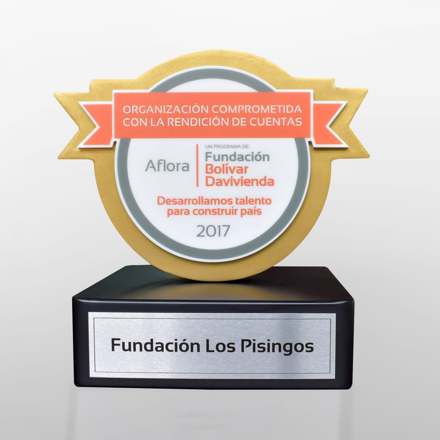 lospisingos – Fundación Los Pisingos